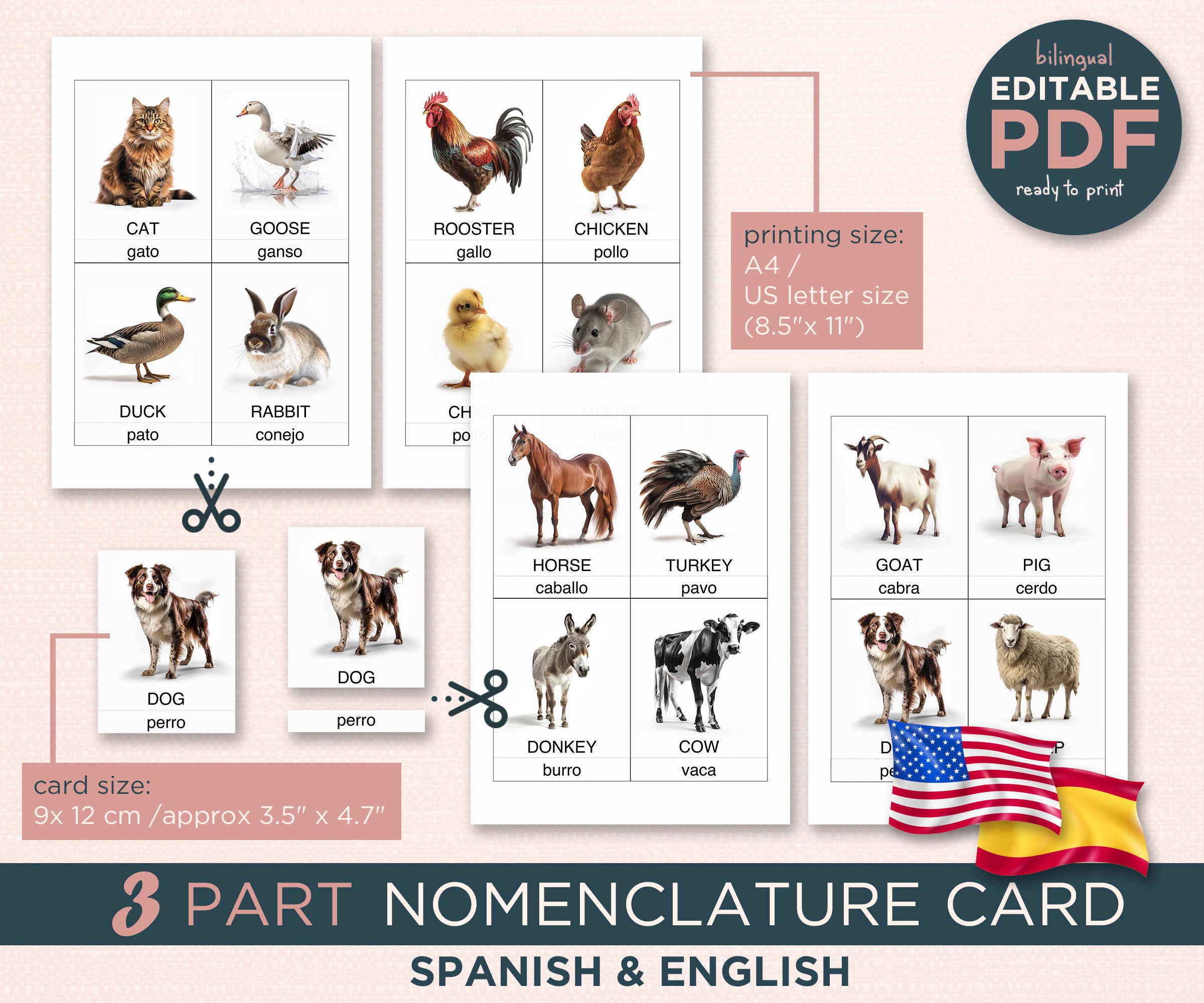 FARM ANIMALS spanish 16 Custom Montessori Cards Real Pictures ...