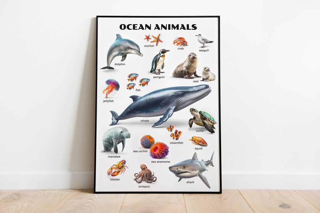 Realistic Ocean Animals Montessori Poster | Educational Sea Life Decor ...