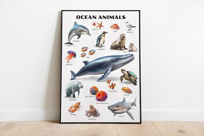 Realistic Ocean Animals Montessori Poster Educational Sea - Etsy