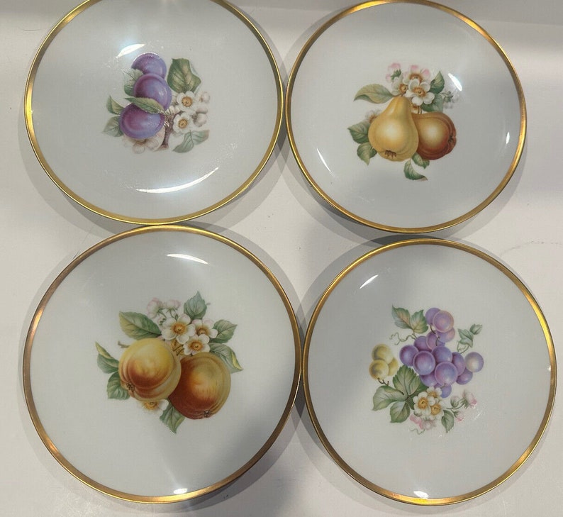 Hutschenreuther China Fruit (favorit Shape) Pattern Salad Plates 8 ...
