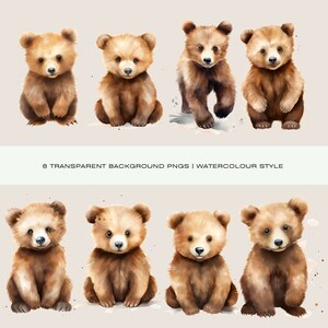Baby Bear Clipart Watercolor, Clipart for Commercial Use, Transparent ...