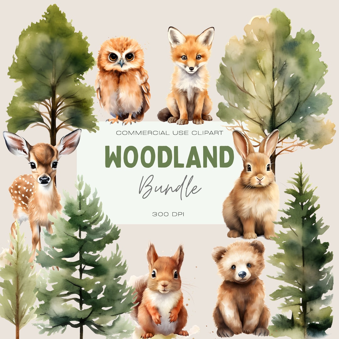 Woodland Creatures Clipart Bundle, Watercolor, Clipart for Commercial ...