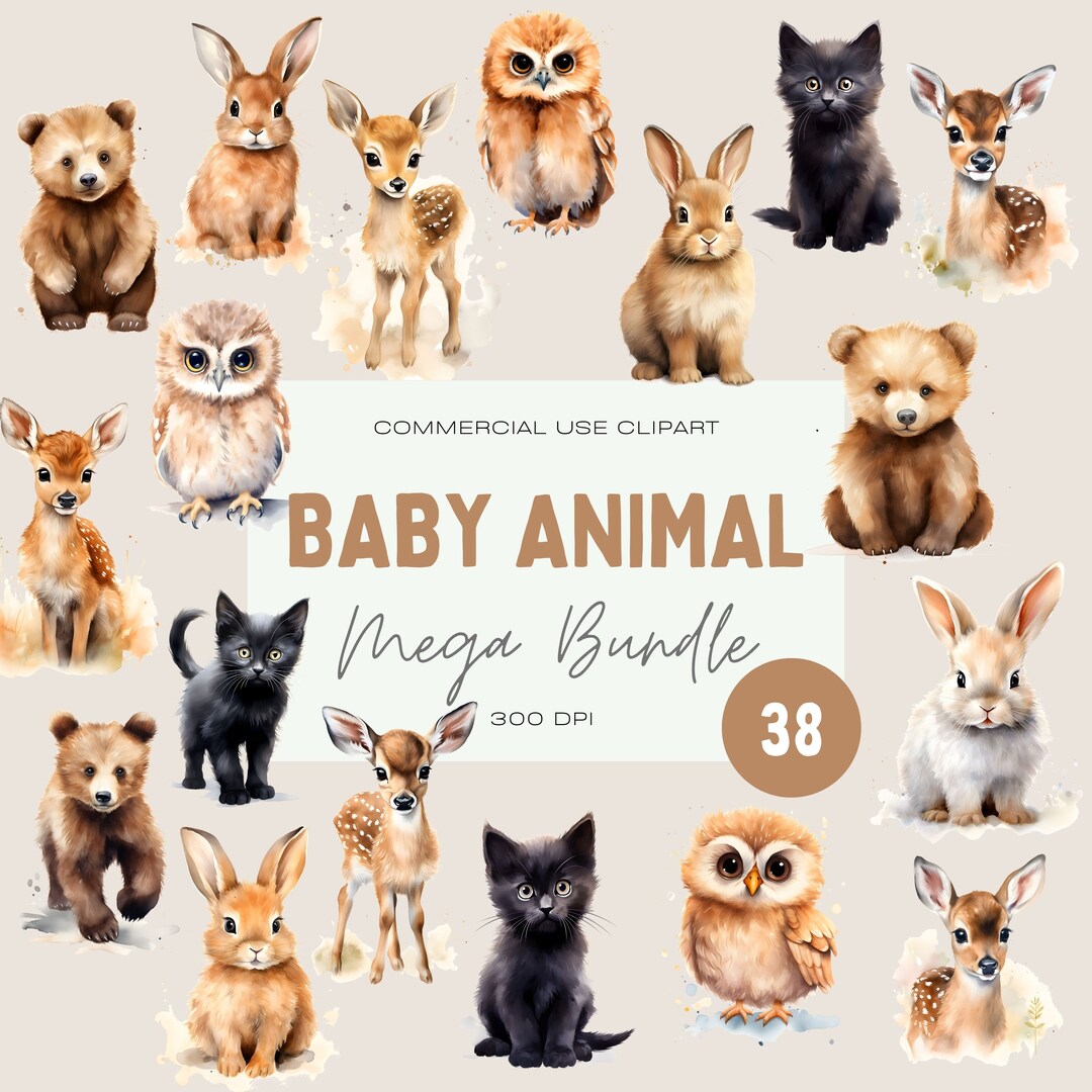 Baby Animals Clipart Bundle Watercolor Animals Commercial - Etsy