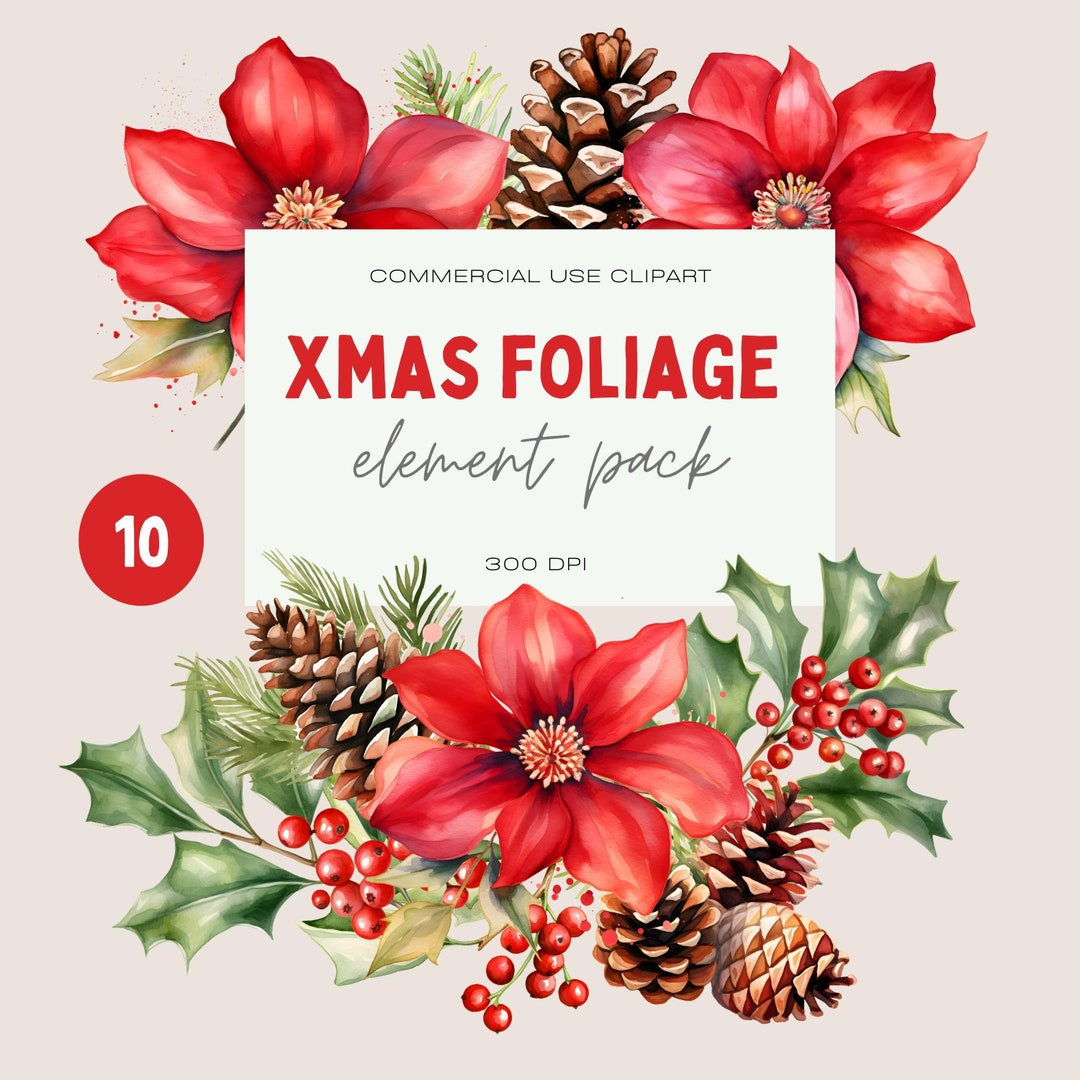 Christmas Foliage Clipart Pack, Christmas Floral Elements, Pinecone ...