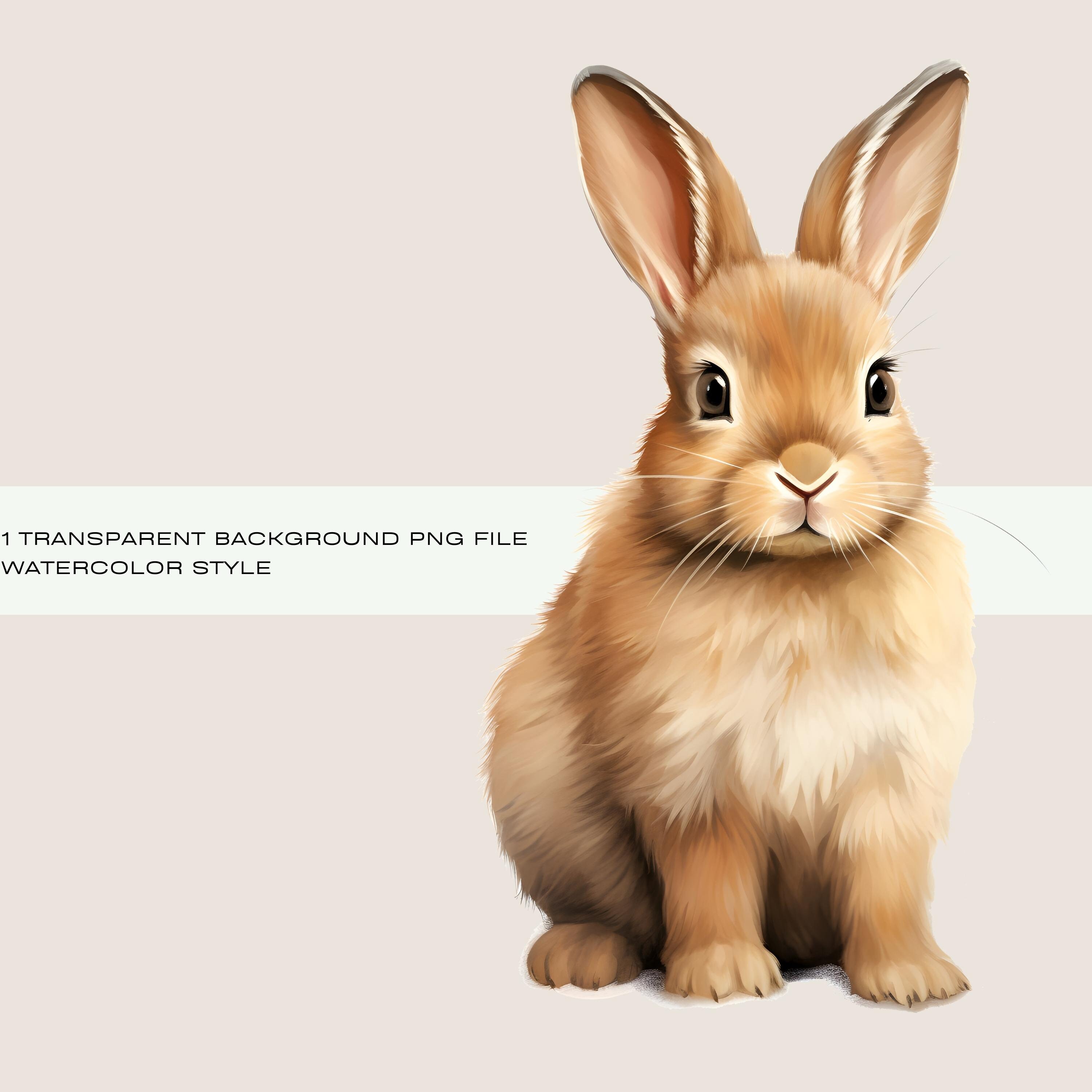 Rabbit Watercolor Clipart, Single Image File, Transparent PNG ...