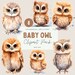 Baby Owl Clipart Watercolor, Clipart for Commercial Use, Transparent ...