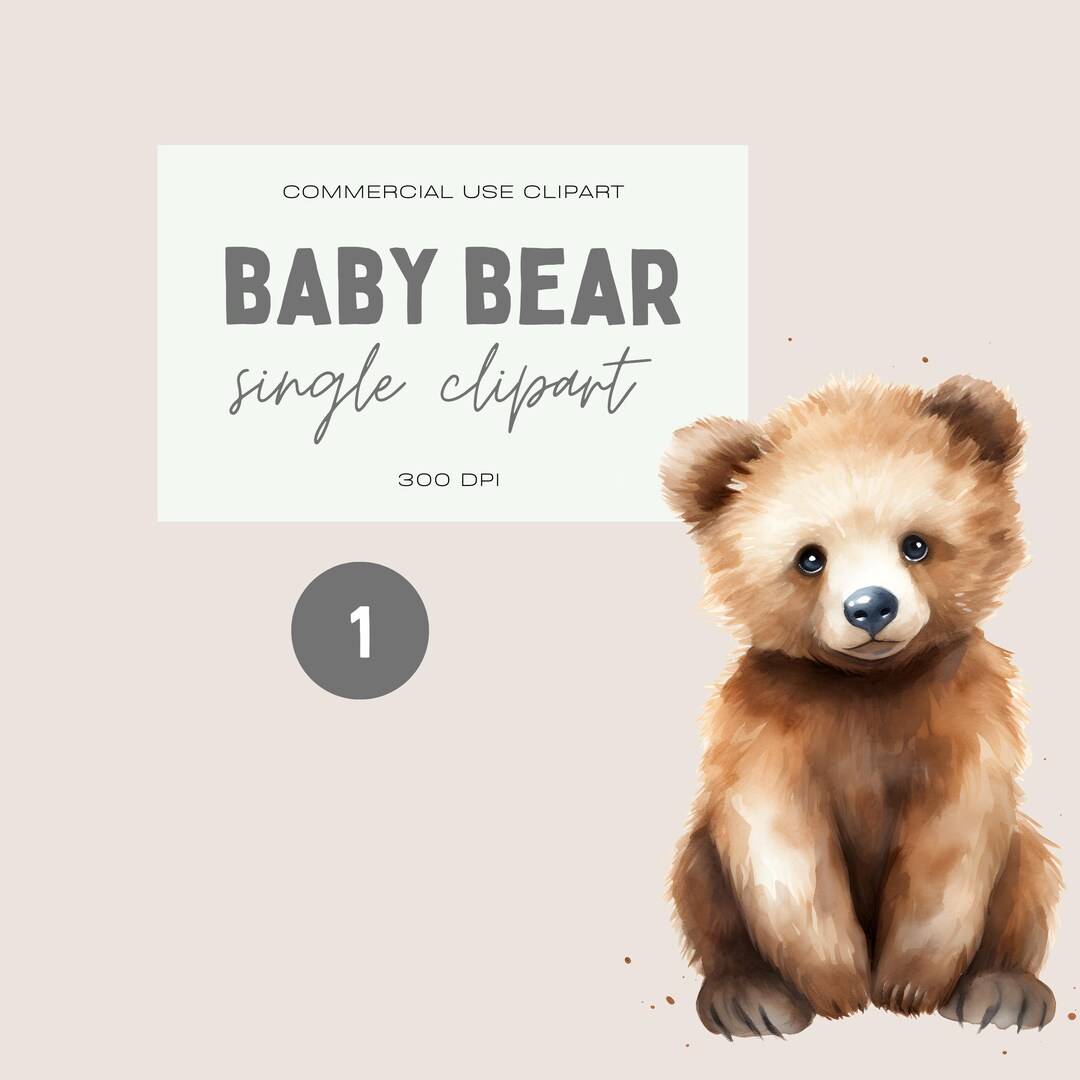 Baby Bear Watercolor Clipart, Single Image File, Transparent PNG ...