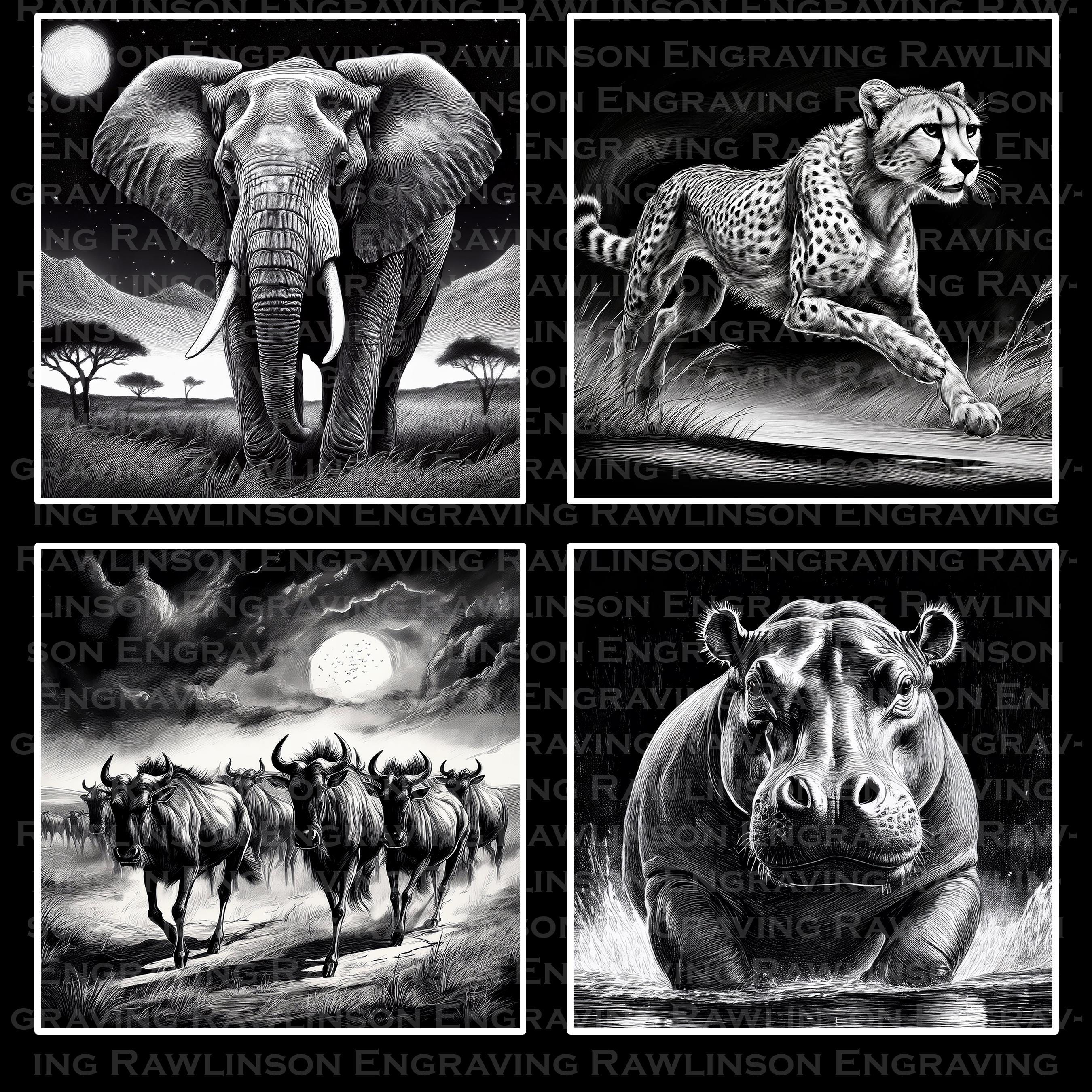 12 African Safari Animals- Digital Files for Laser Engraving 4x4" Slate ...