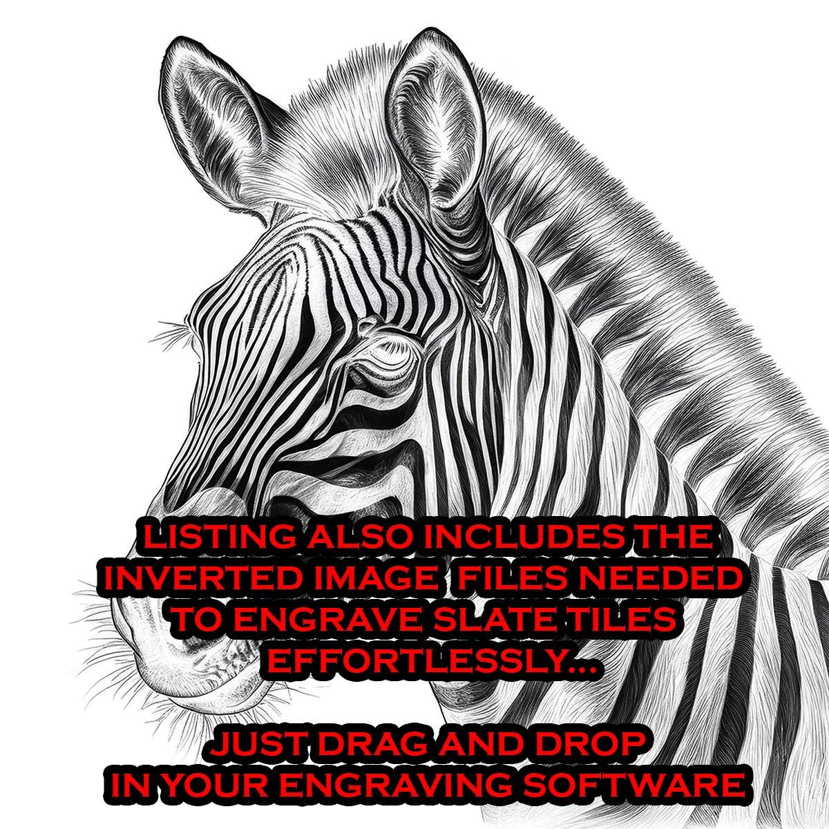 9 African Safari Animals- Digital Files for Laser Engraving 4x4" Slate ...
