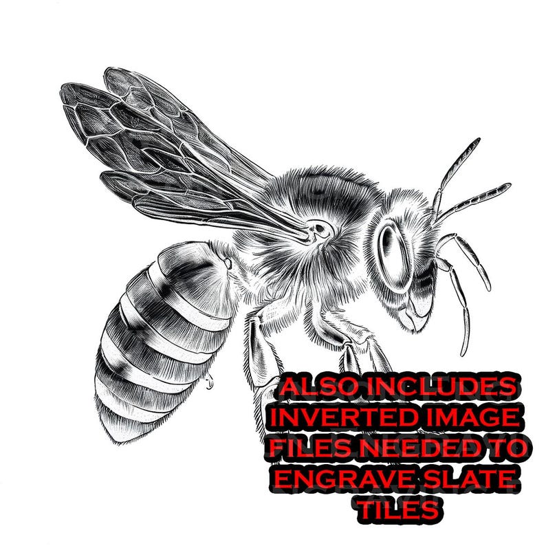 8 Honey Bee Digital Files for Laser Engraving 4x4" Slate Coasters - Etsy