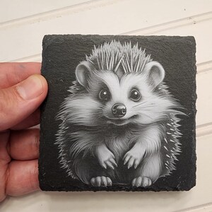 8 Adorable Hedgehog Digital Files for Laser Engraving 4x4" Slate ...