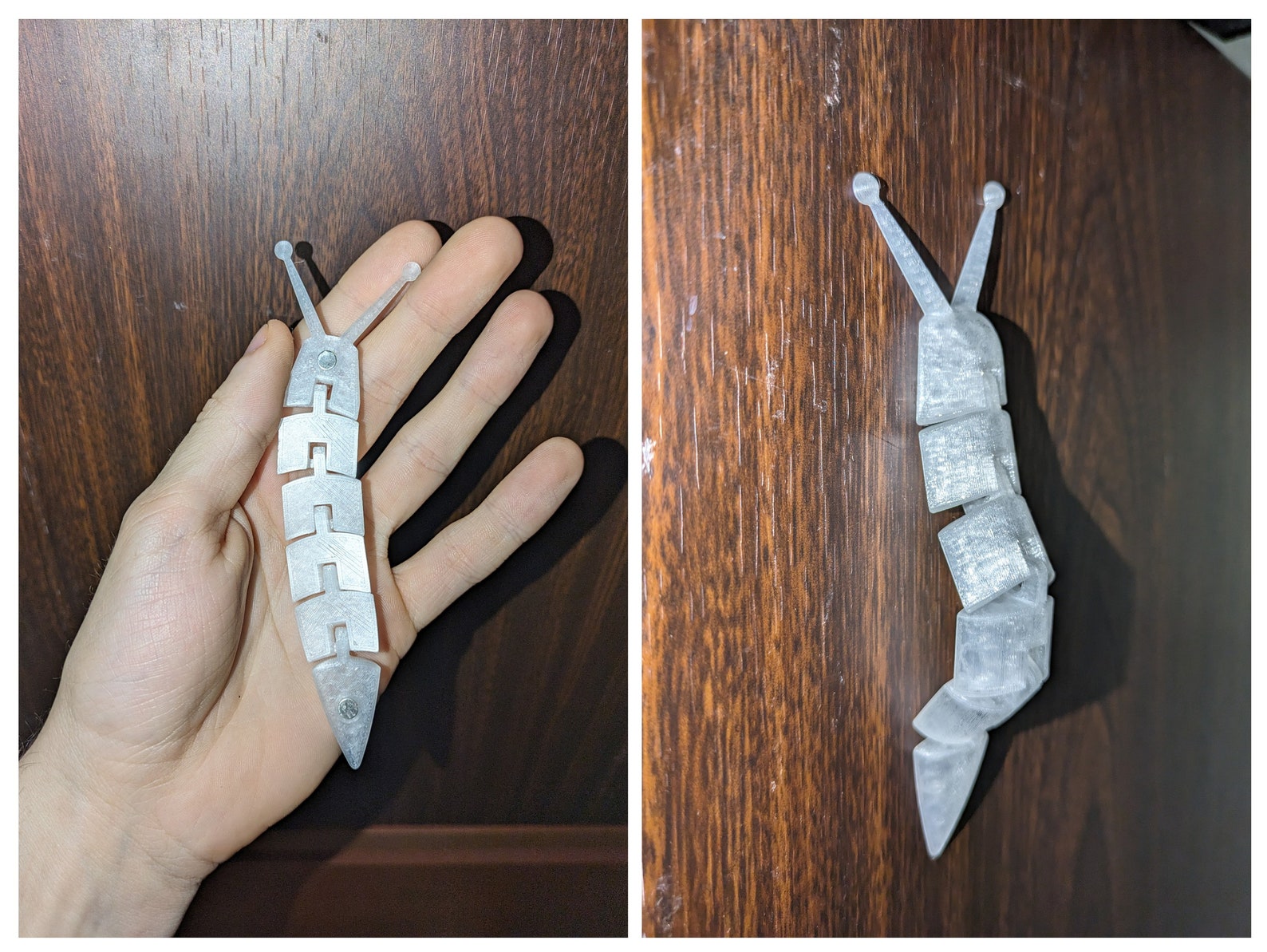 3D Printed Articulated Slug Fidget Toy Rainbow and Many Colors and ...