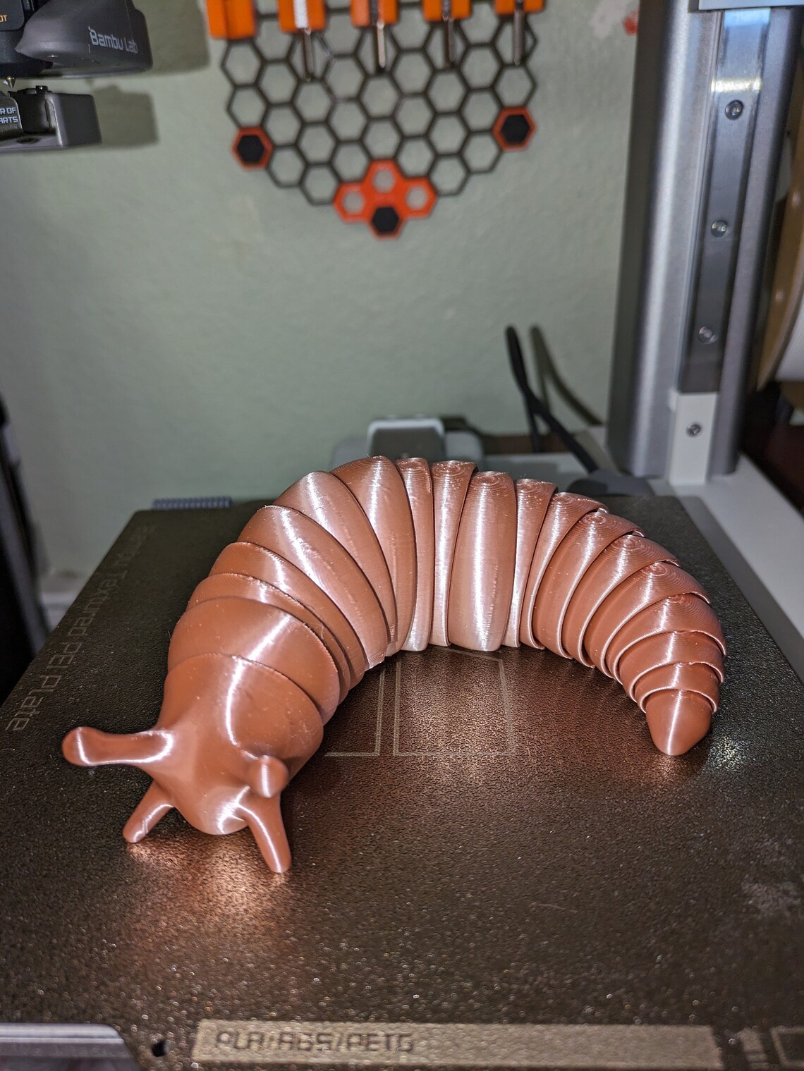 3D Printed Articulated Slug Fidget Toy Rainbow and Many Colors and ...