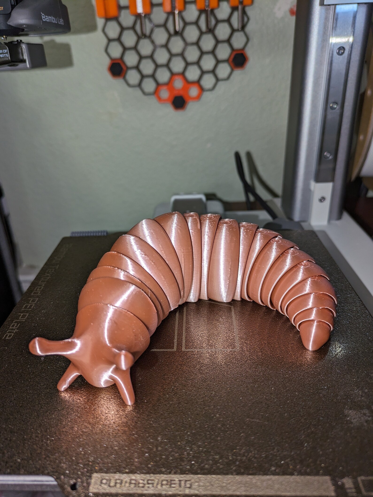 3D Printed Articulated Slug Fidget Toy: Rainbow Colors, Desk Decor - Etsy
