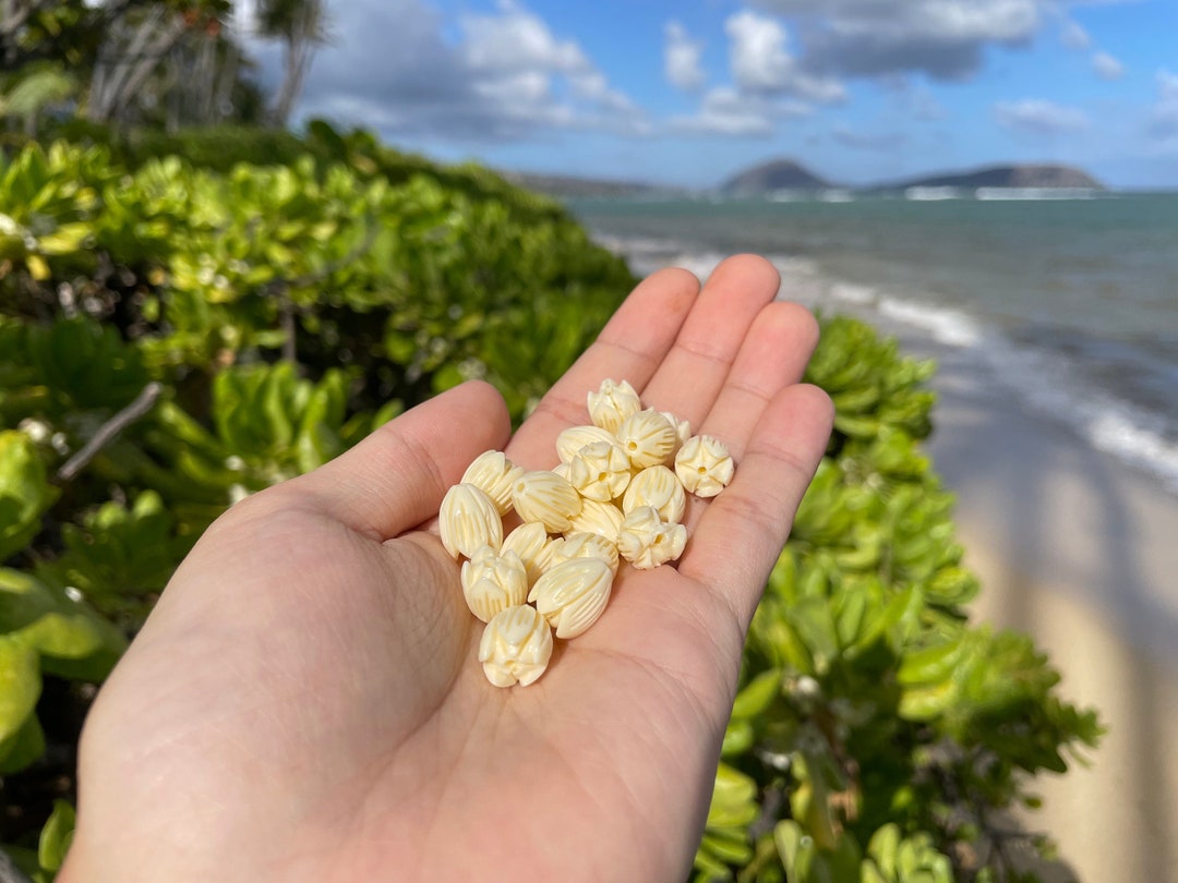 Pikake Beads, Loose Beads 100pc, Hawaiian Jasmine Tulip Flower Cream ...