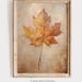Rustic Fall Decor Wall Art Leaf Art Still Life Printable Vintage Autumn ...