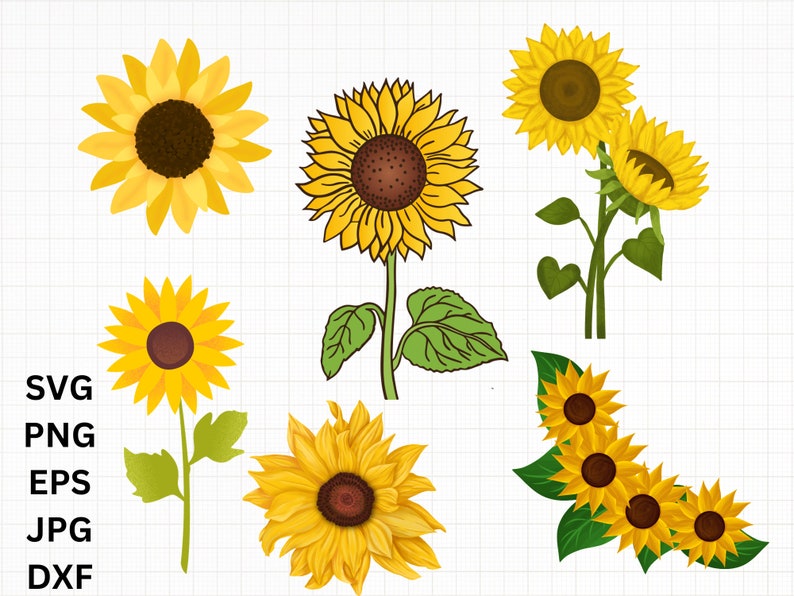 Sunflower Svg Bundle, Sunflower Svg, Svg File Cricut,sunflower Monogram ...