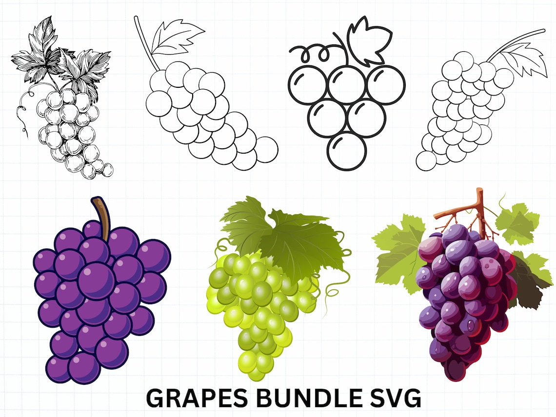 Grape SVG, Wine Svg Bundle, Fruit SVG, Grape Cricut, Grape Vector, Grape Digital Download, Grape ...