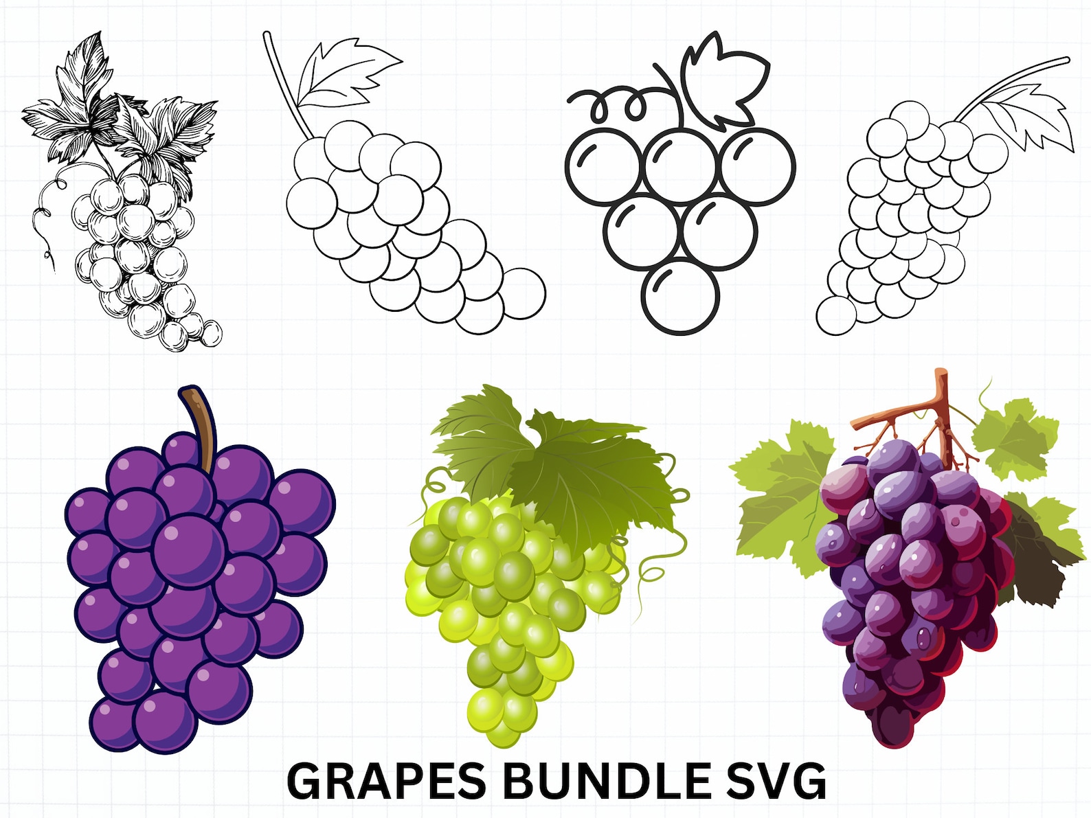 Grape SVG, Wine Svg Bundle, Fruit SVG, Grape Cricut, Grape Vector, Grape Digital Download, Grape ...
