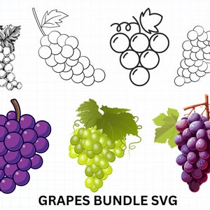 Grape SVG, Wine Svg Bundle, Fruit SVG, Grape Cricut, Grape Vector ...