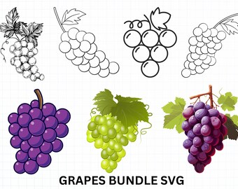 Grape SVG, Wine Svg Bundle, Fruit SVG, Grape Cricut, Grape Vector ...