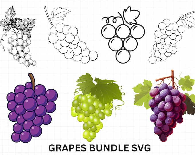 Grape SVG, Wine Svg Bundle, Fruit SVG, Grape Cricut, Grape Vector ...