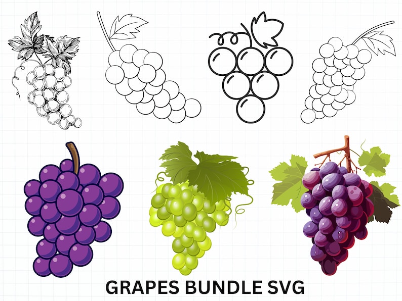 Grape SVG, Wine Svg Bundle, Fruit SVG, Grape Cricut, Grape Vector ...