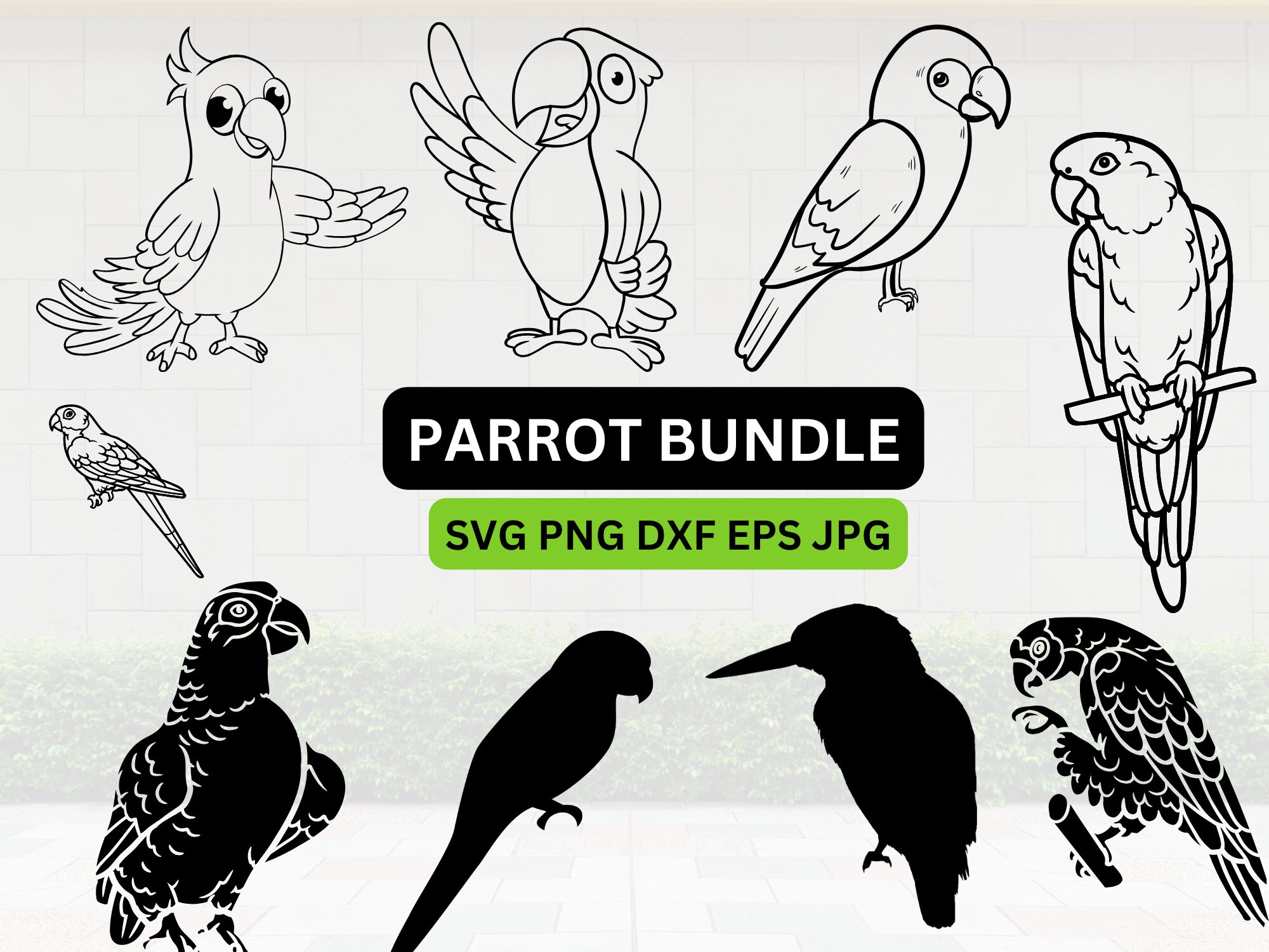 Parrot SVG , Parrot Svg Cut Files, Brid Svg, Parrot Cricut Parrot ...