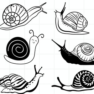 Snail SVG, Snail SVG Bundle, Snail Clipart, Snail DXF, Snail Vector ...