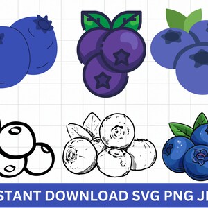Blueberry Svg Bundle, Fruit Svg, Blueberry Clipart, Blueberry Png,berry ...