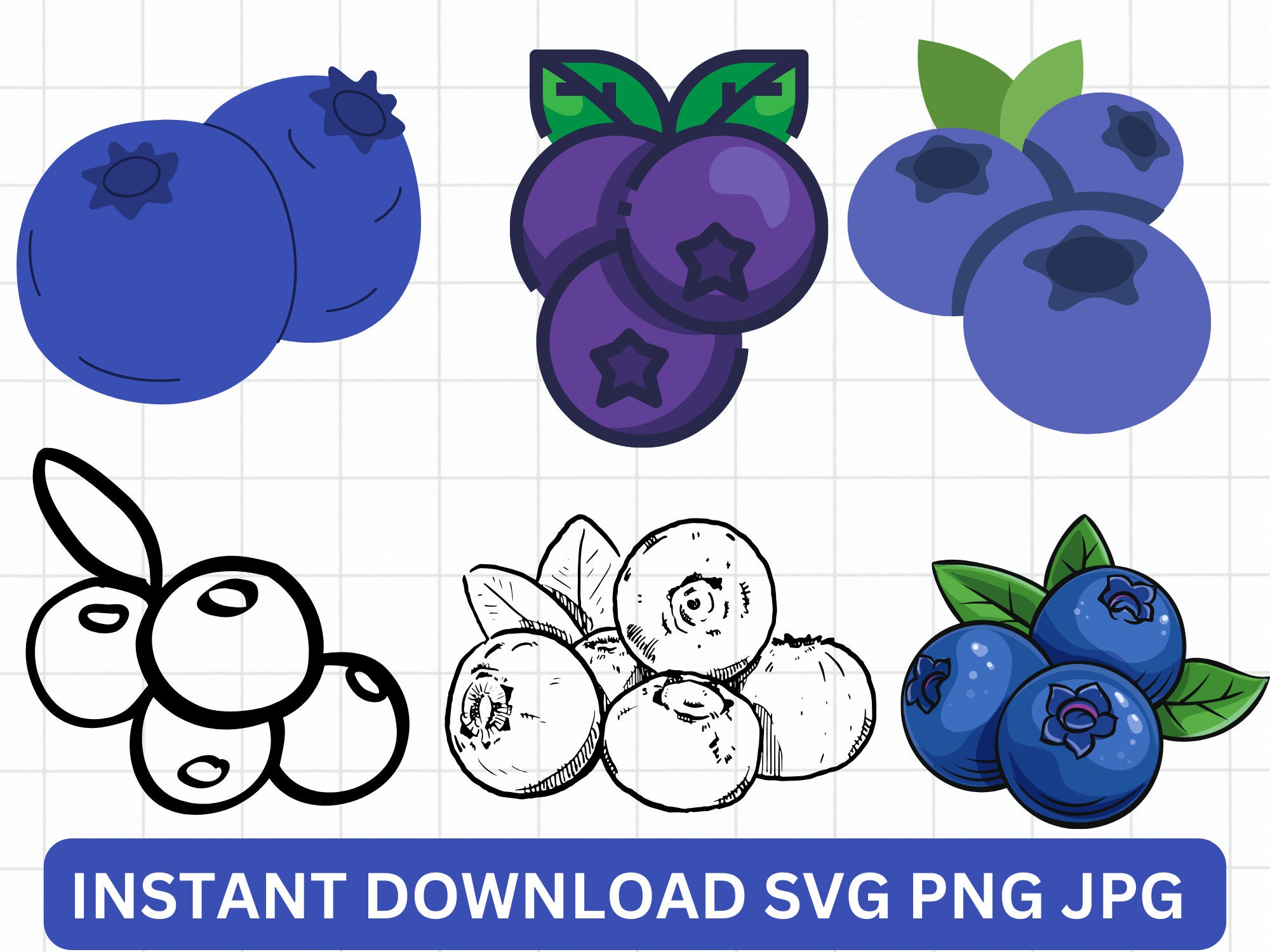 Blueberry Svg Bundle, Fruit Svg, Blueberry Clipart, Blueberry Png,berry ...