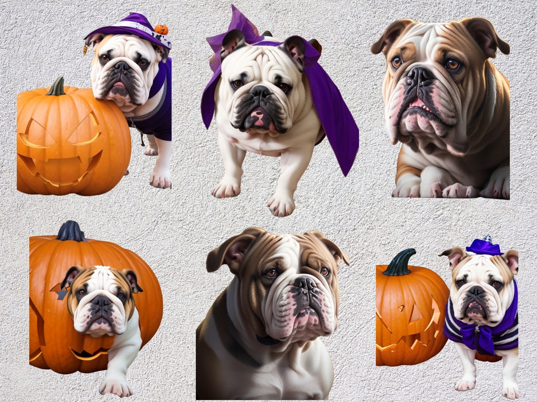 English Bulldog Svg, Ghost Dog Halloween Svg ,halloween Bulldog Clipart ...