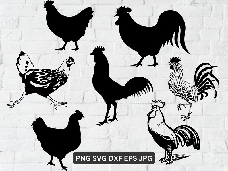 Chicken SVG Bundle Chicken Svg Chicken Svg Funny chicken - Etsy
