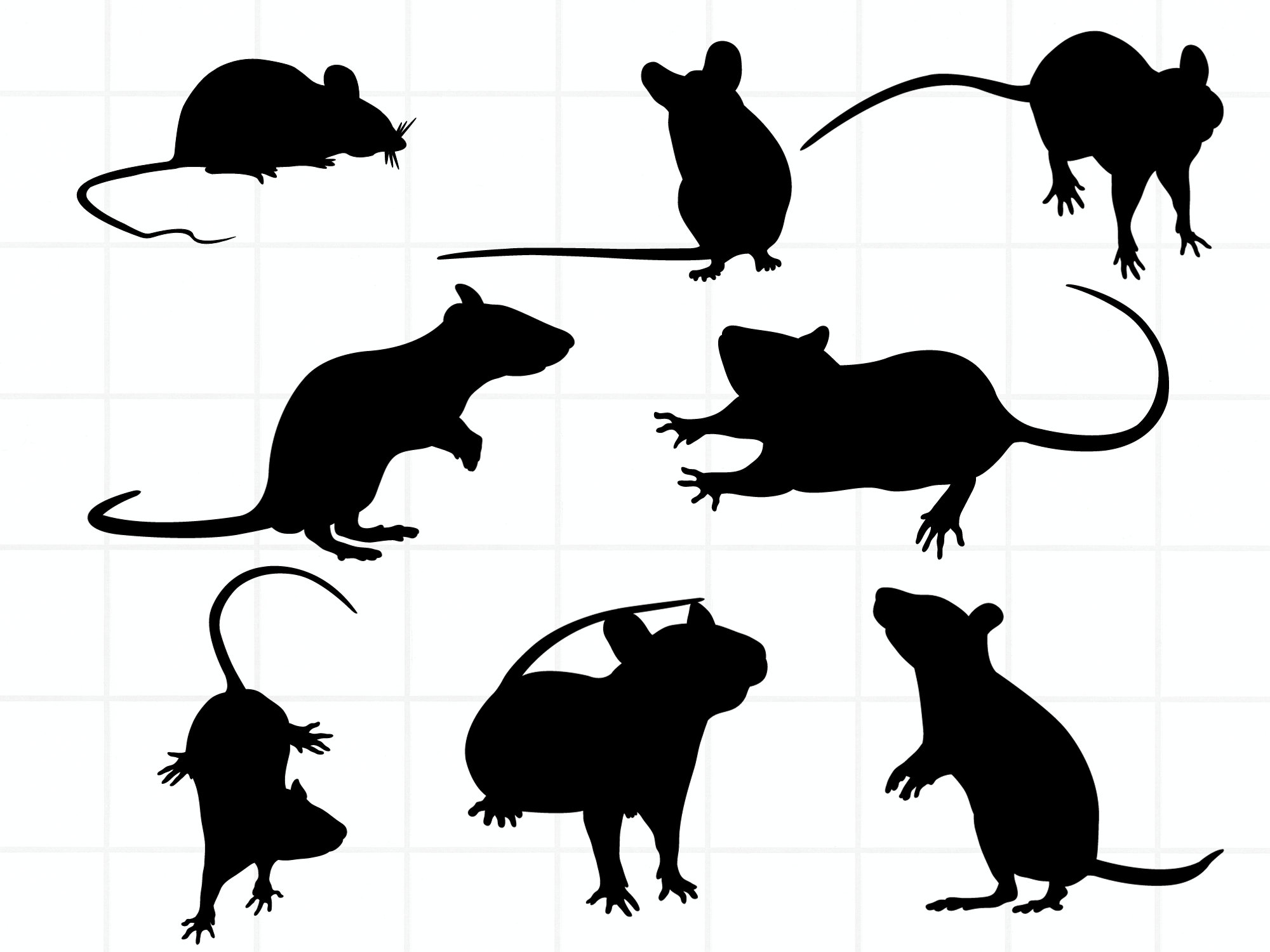Rat Silhouettes, Rat Bundle Svg, Rat Clipart, Mouse Cricut, High ...