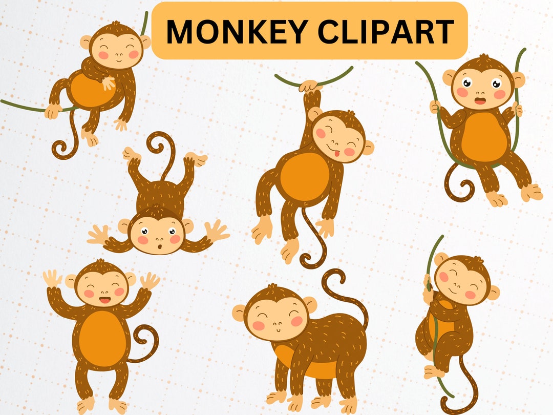Monkeys Clipart Set , Baby Monkey Svg , Jungle Animal Svg , Monkey ...