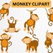 Monkeys Clipart Set Baby Monkey Svg Jungle Animal Svg - Etsy