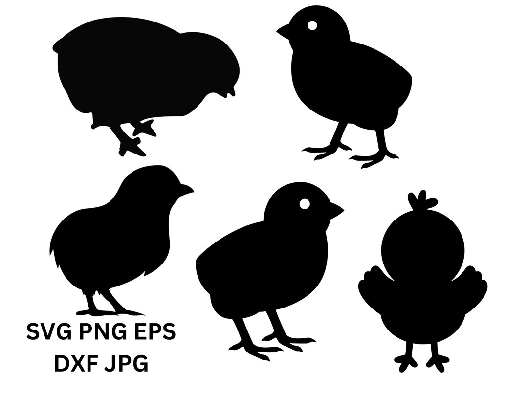 Baby Chick Silhouette SVG Vector Cut File , Baby Chick Svg, Bird SVG ...