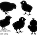 Baby Chick Silhouette SVG Vector Cut File , Baby Chick Svg, Bird SVG ...