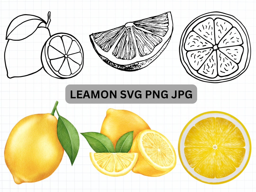 Lemon SVG Files for Cricut, Fruit PNG , Silhouette, Lemon Layered Slice ...