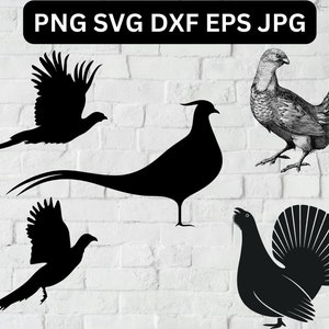 Pheasant SVG, Pheasant Hunting Svg, Pheasant Silhouette ,bird Hunting ...
