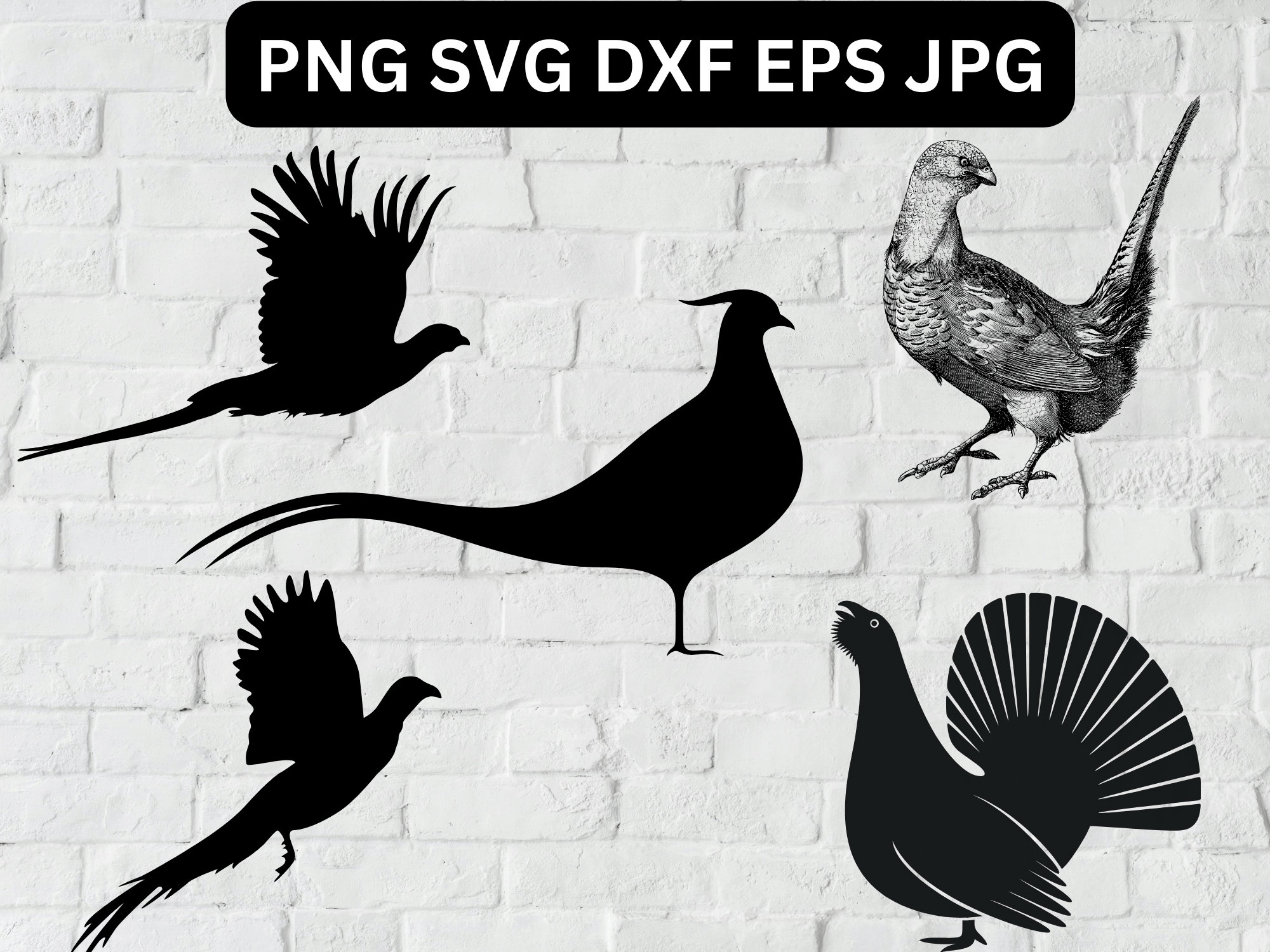 Pheasant SVG, Pheasant Hunting Svg, Pheasant Silhouette ,bird Hunting ...