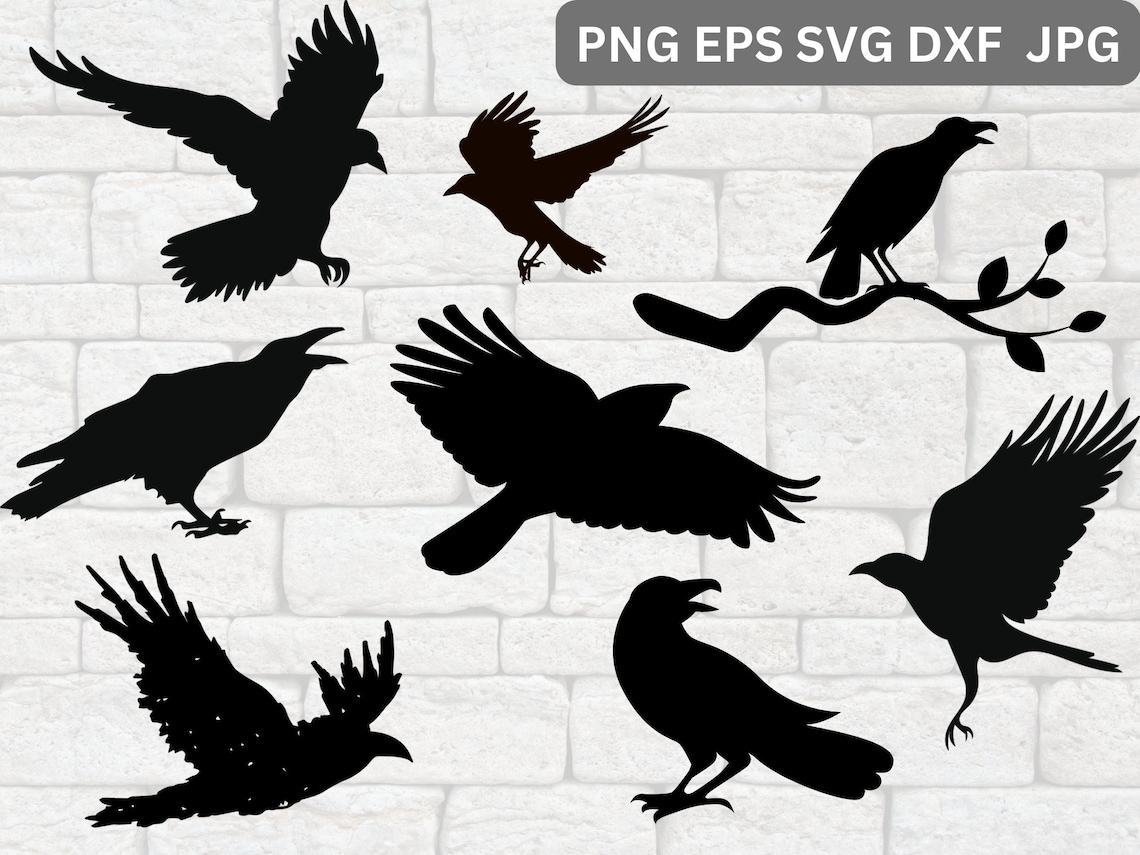 CROW SVG, Crow Svg Files for Circut , Crow Bird SVG Files Bundle, Crow ...