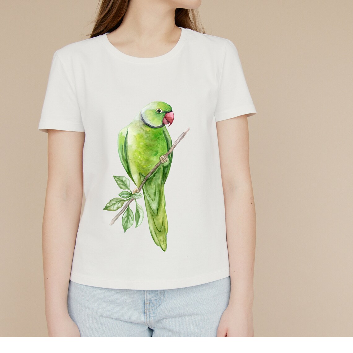 Parrot Clipart Parrot SVG baby Parrot SVG Parrots Svg for - Etsy