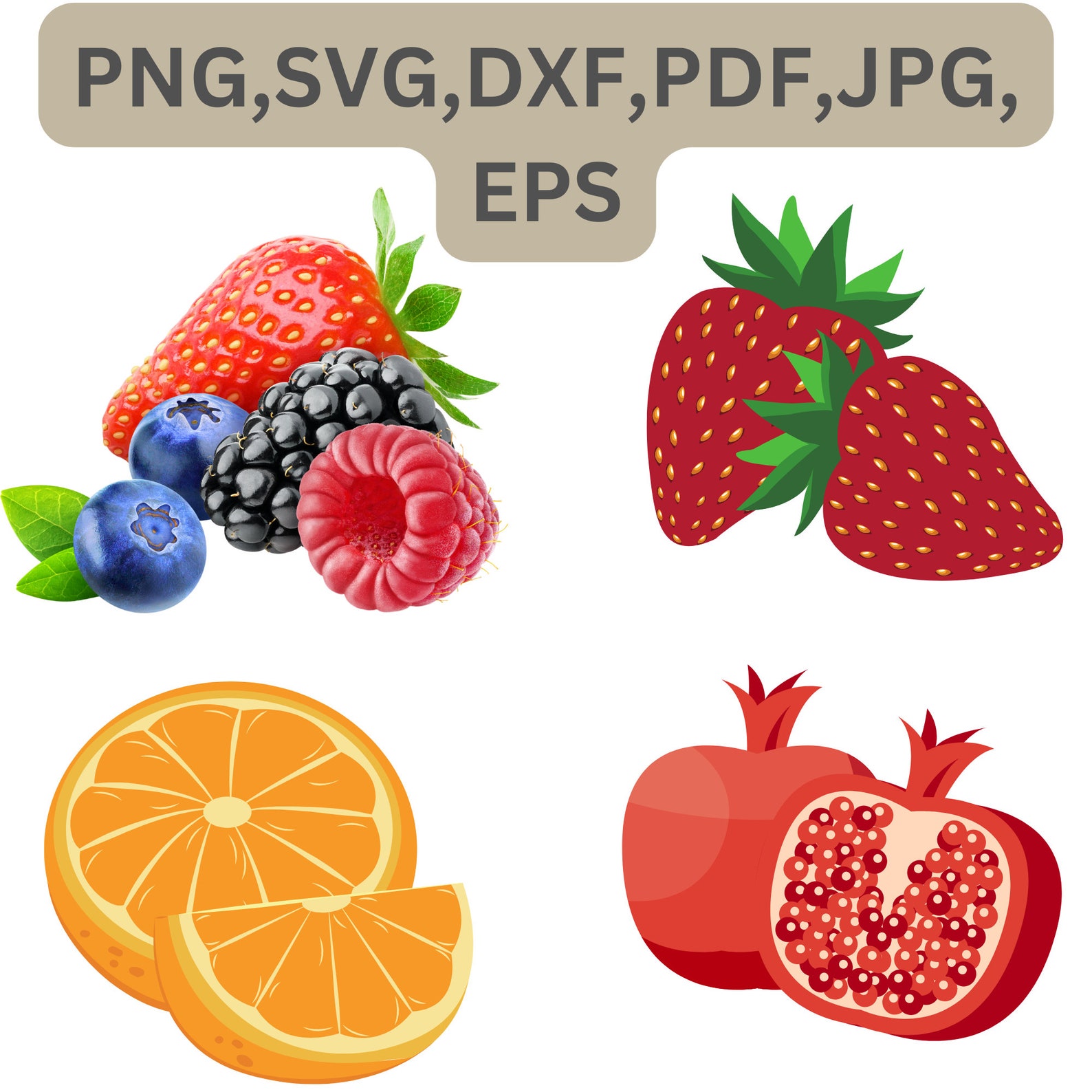 Fruit SVG Bundle , Cute Fruit Clipart , Fruit SVG Summer Svg Tropical ...