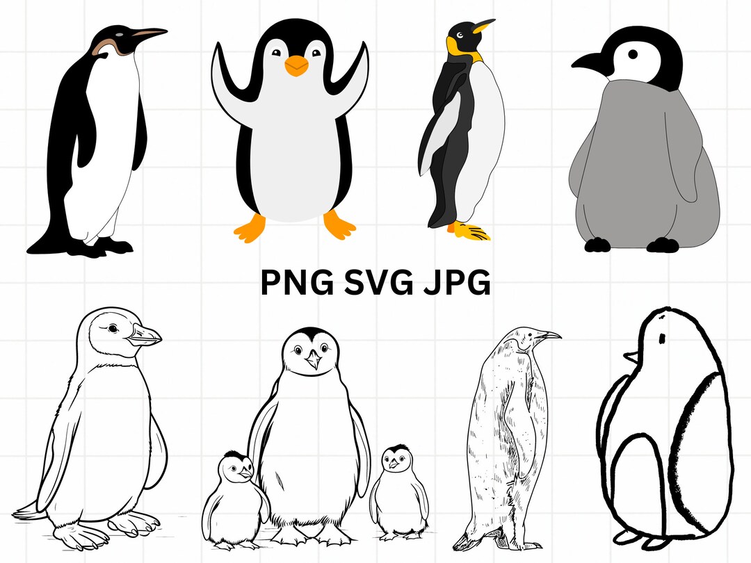 Penguin SVG Bundle Penguin PNG Bundle Penguin Clipart Penguin SVG Cut ...