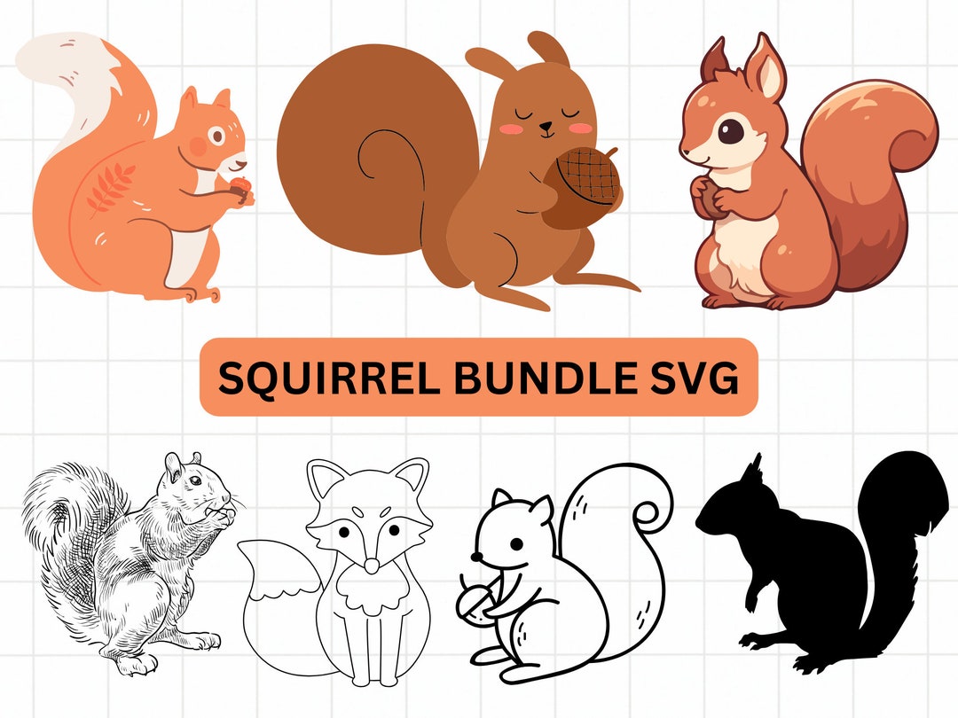 Squirrel Svg, Baby Squirrel Svg, Cute Squirrel Svg, Forest Animals Svg ...