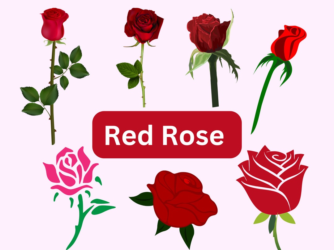 Rose Svg, Flowers Svg, Rose Bundle Svg, Rose Svg Cut File, Vintage Red ...