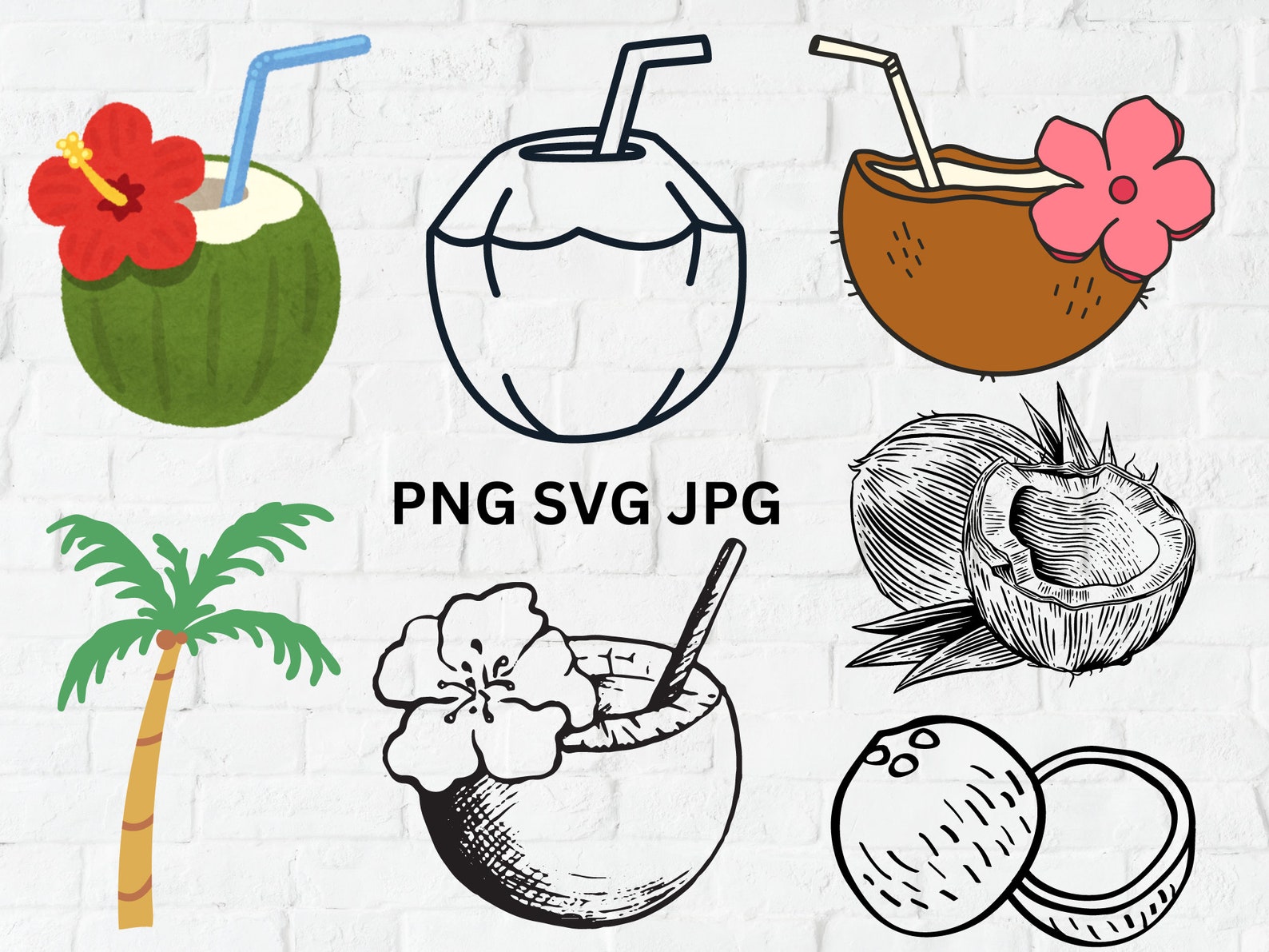 Coconut SVG, Coconut Cricut, Coconut Cocktail Svg, Summer Svg, Coconut ...