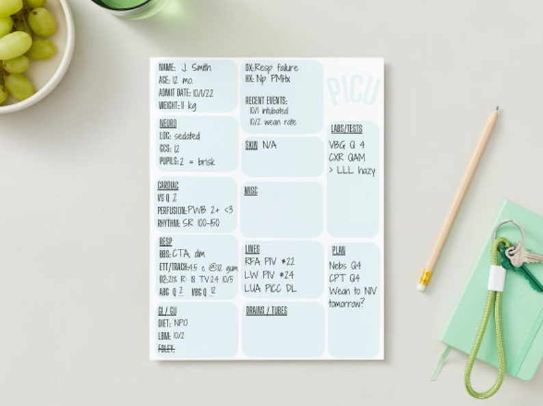Gray PICU Nursing Report Sheet, PCICU Nursing Report, Pediatric Nurse ...