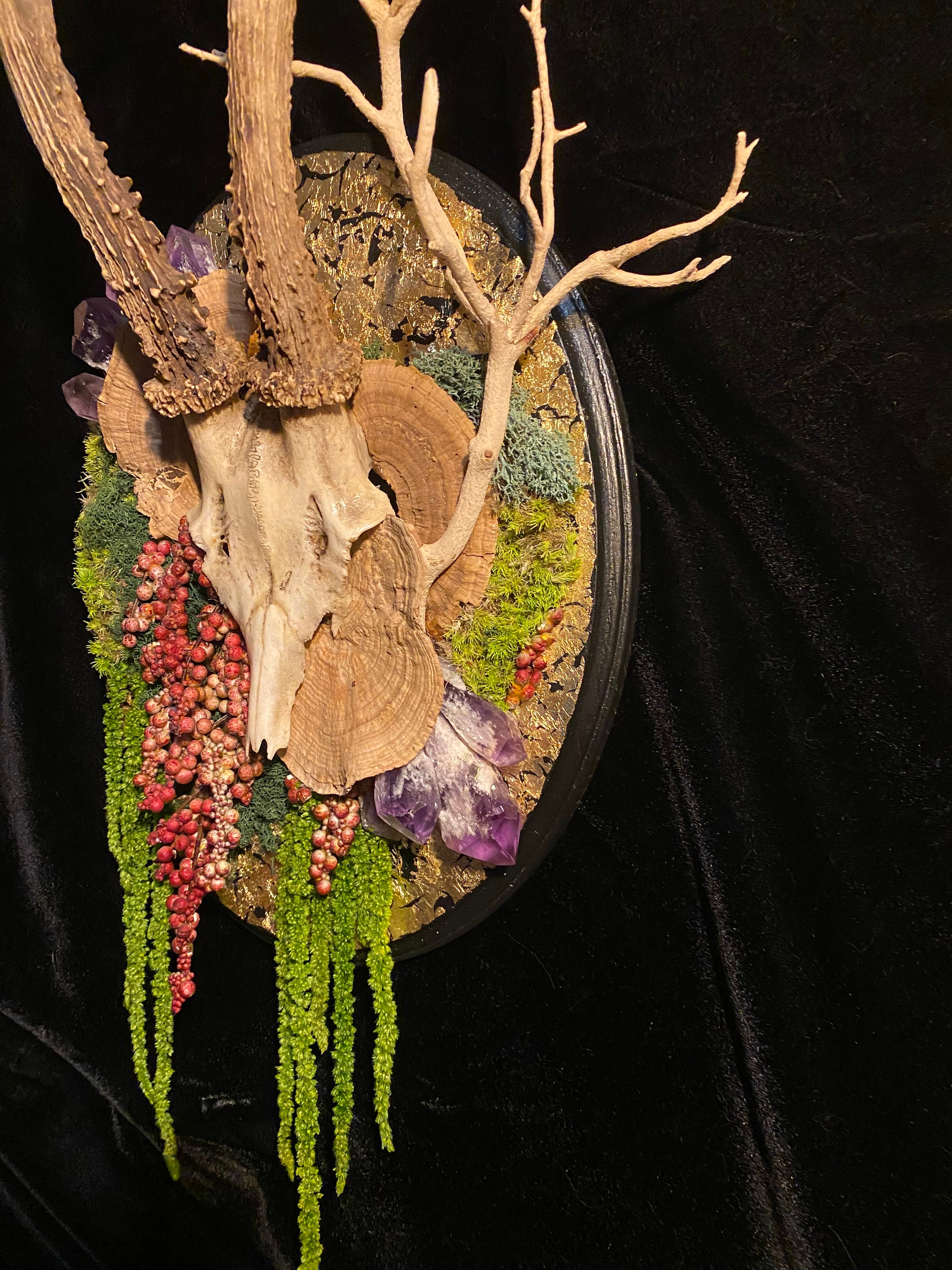 Roe Deer Mount With Cathedral Amethyst Points - Etsy